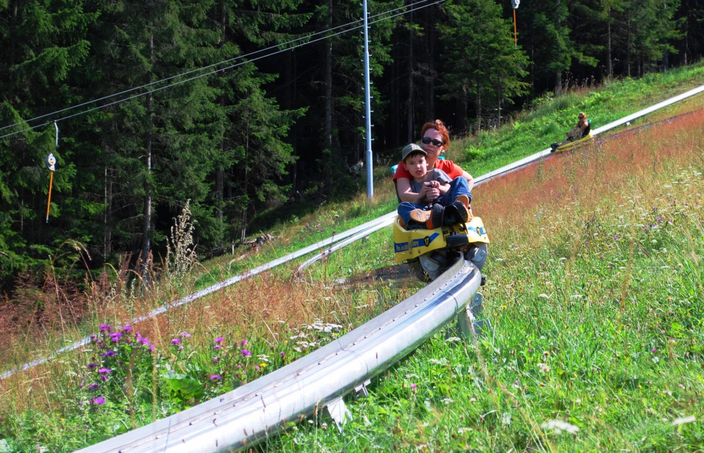 Summer Bobsled