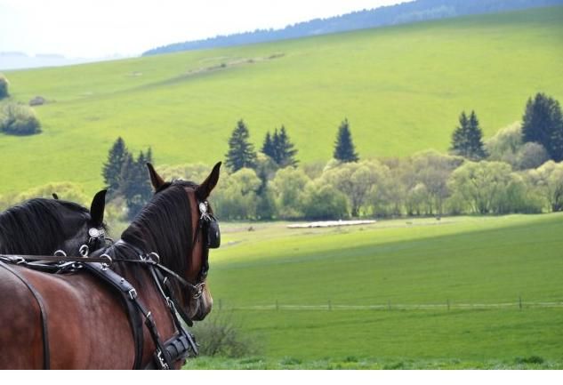 Bobrovec - Visit Liptov