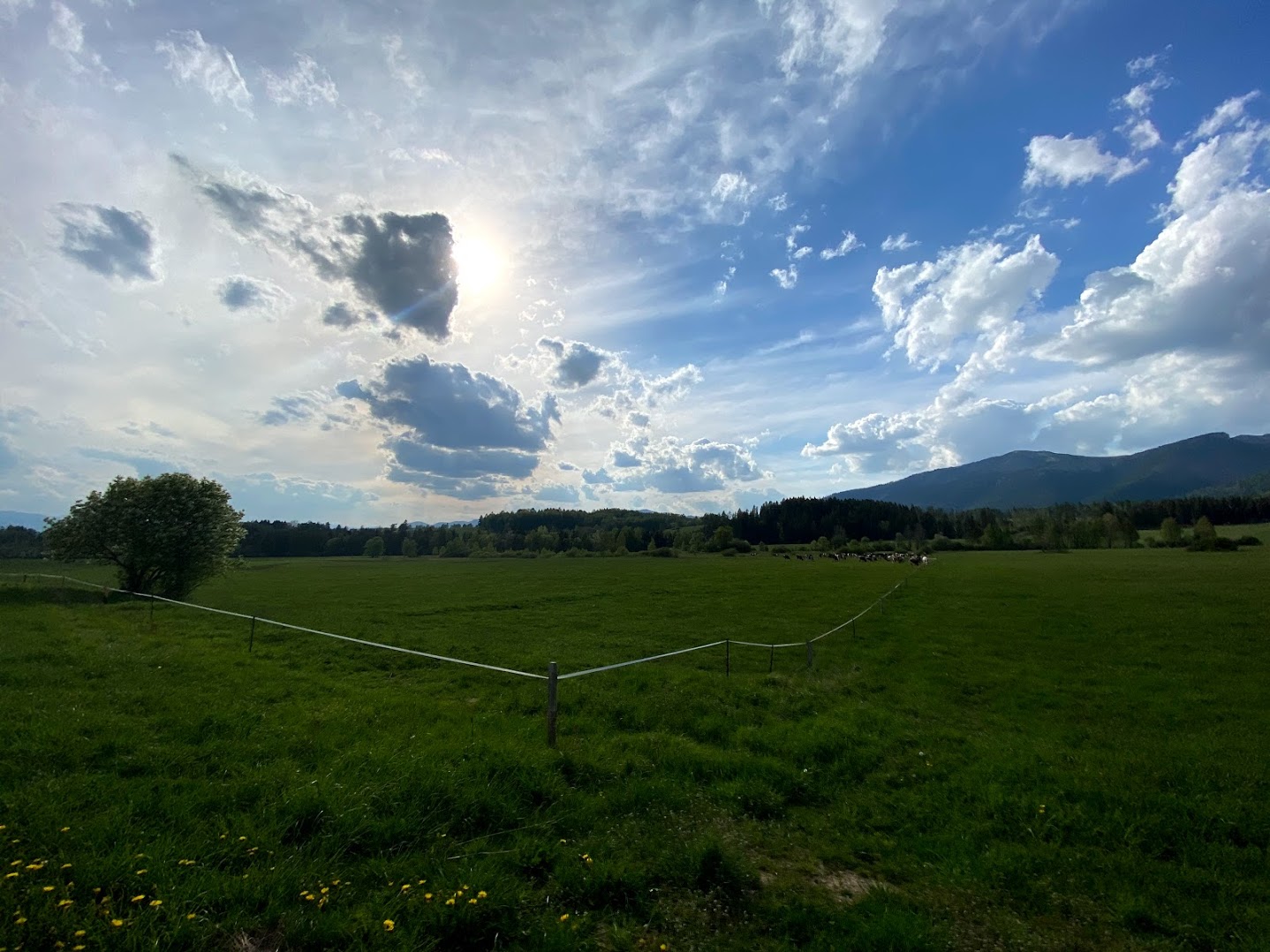 A Walker step to the wild boar pen area - Visit Liptov